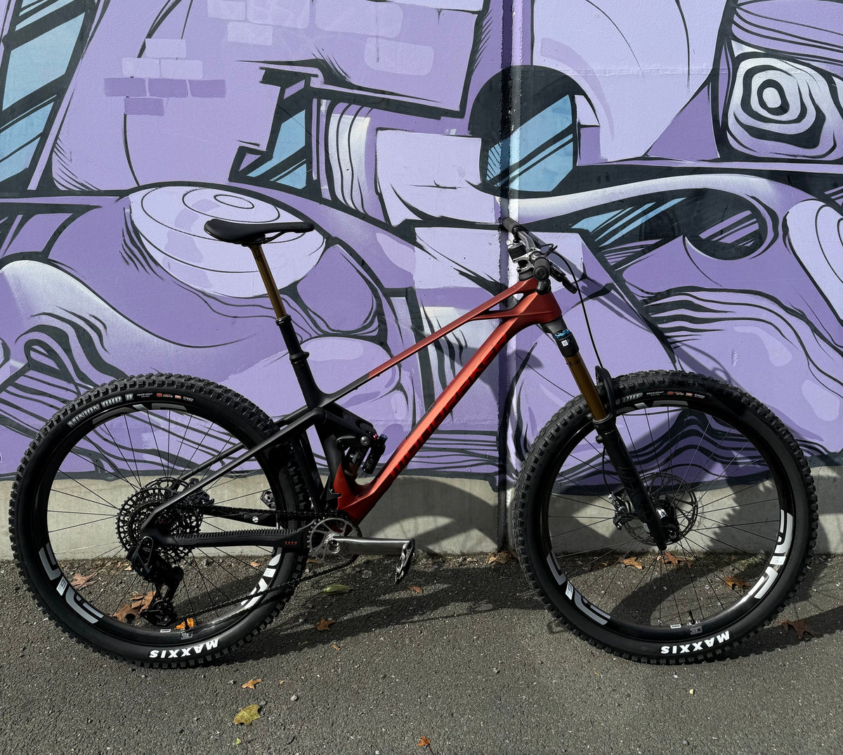 Buy Your Next Mountain Bike from Gravity Nelson – Local, Rider-Owned,